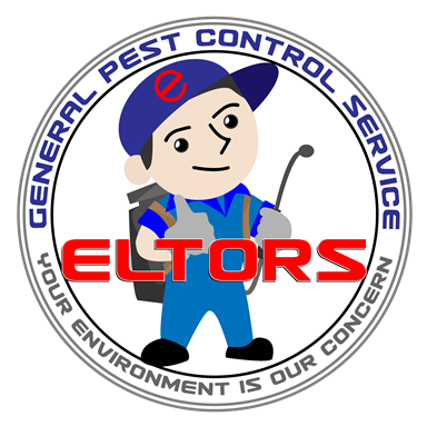 Subterranean termites.. – ELTORS CERTIFIED PESTCONTROL SERVICES